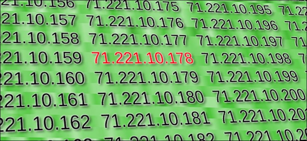 How Do IP Addresses Work? - My IP World